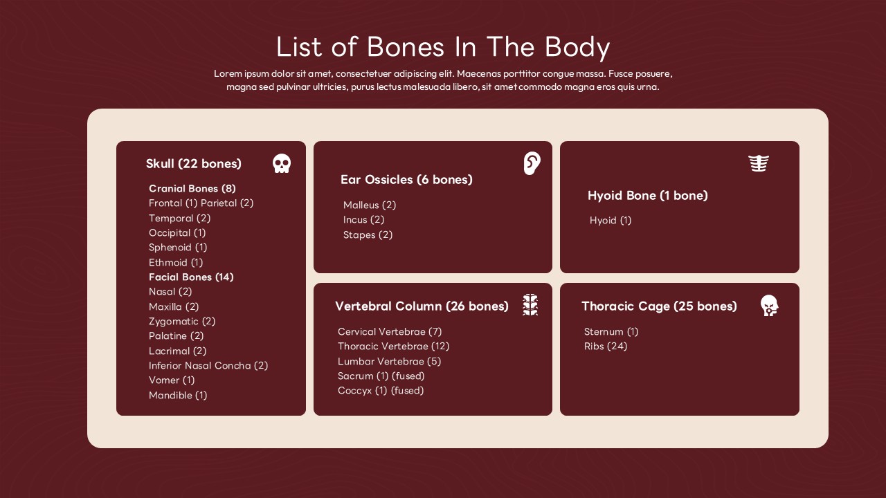 206 Bones Of The Body Diagram Template Slides | SlidesDepot