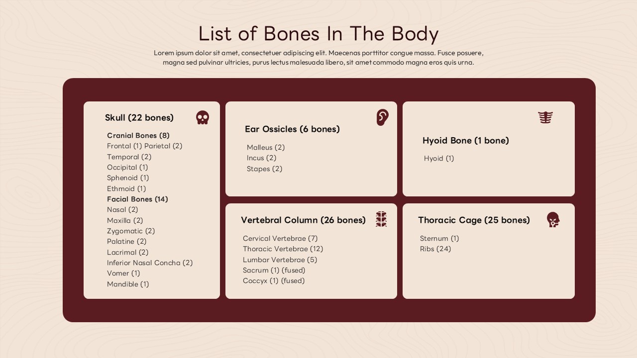 206 Bones Of The Body Diagram Template Slides | SlidesDepot